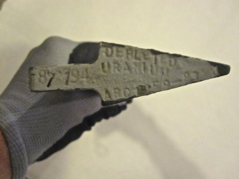 Reporting Assistant for International Nuclear Safeguards